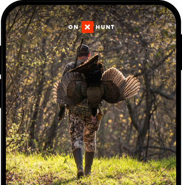 Template | Offline Map Data Generator